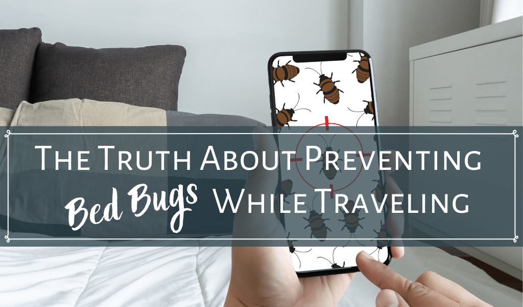 How To Avoid Bed Bugs While Travelling Bed Bugs Control