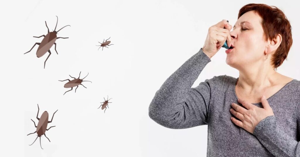 How Cockroaches Affect Indoor Air Quality